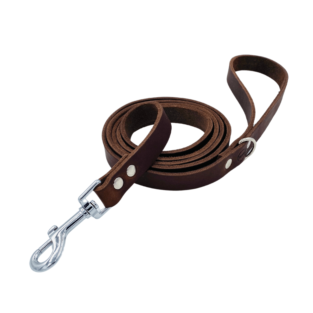 Luxury Leather Dog Leash | Design yourself | Various lengths